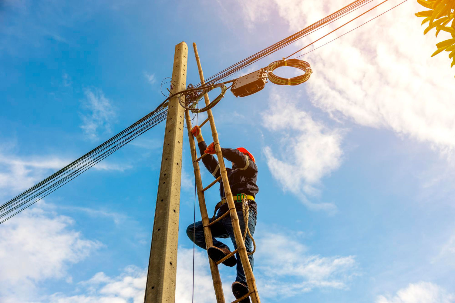 Rede Neutra: Como Funciona, vantagens e sua Importância - MikWeb